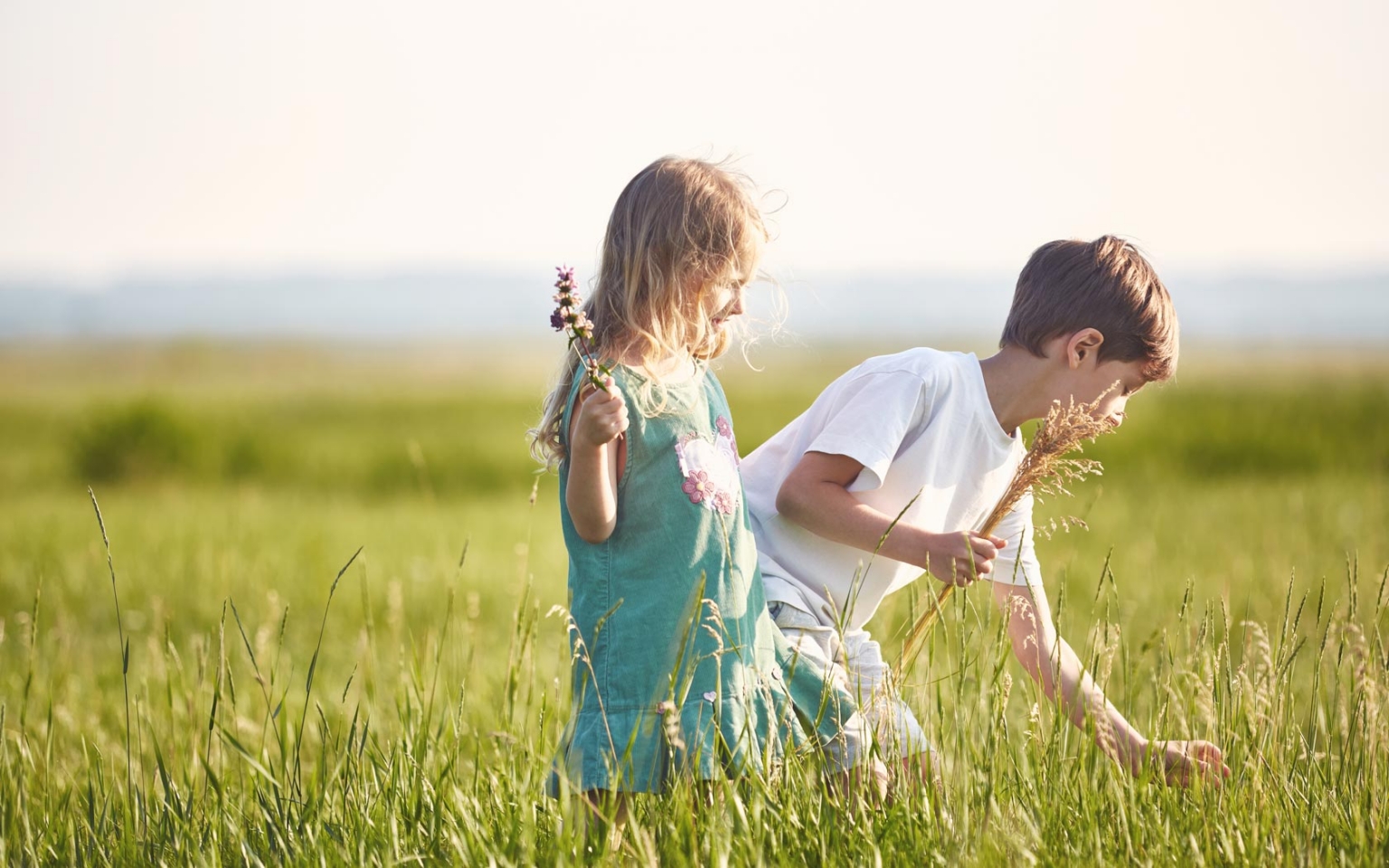 Föhl Inside – Adolf Föhl GmbH + Co KG